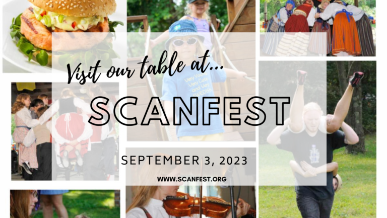 Come See us at Scandinavian Fest at Vasa Park, NJ